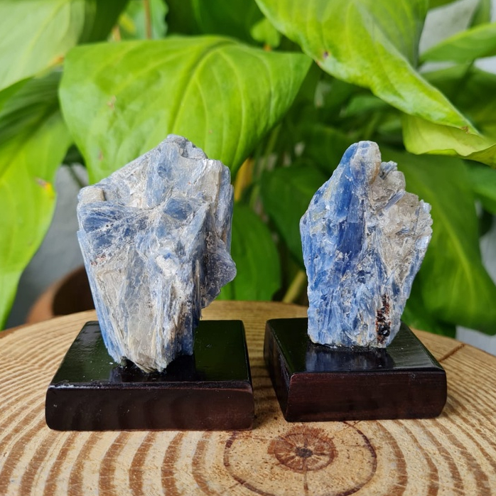 Cianita Azul Rosa do Deserto Pedra Natural Bruta Base Madeira Proteção ...