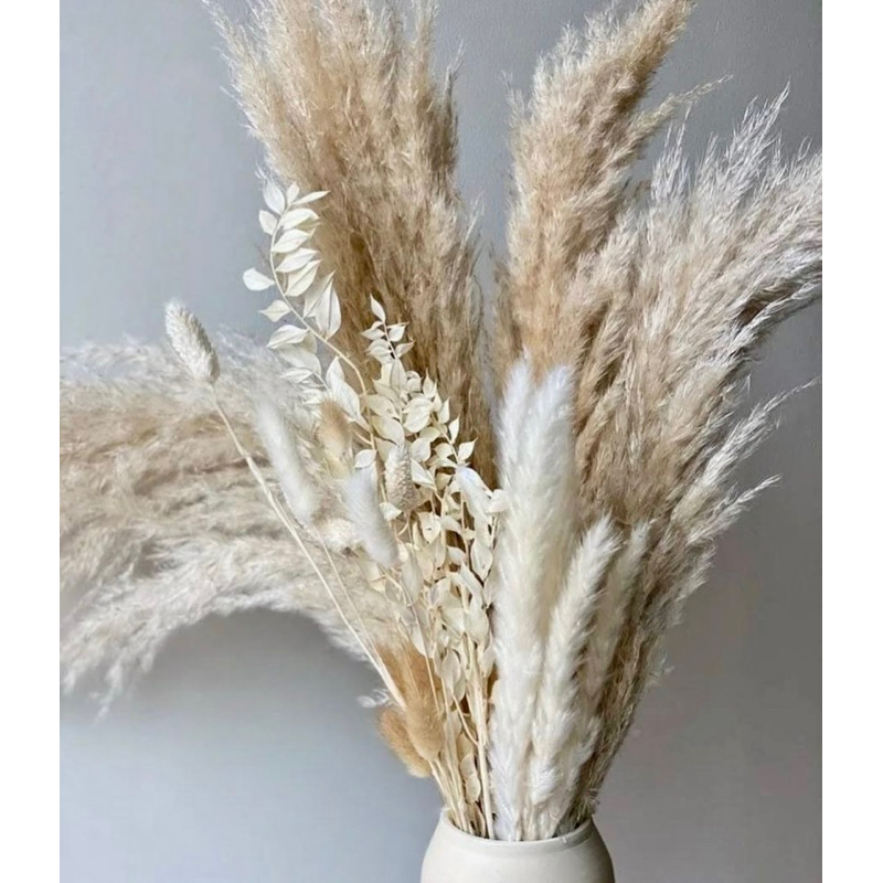Capim dos pampas arranjo Pinterest 5 unidades | Shopee Brasil