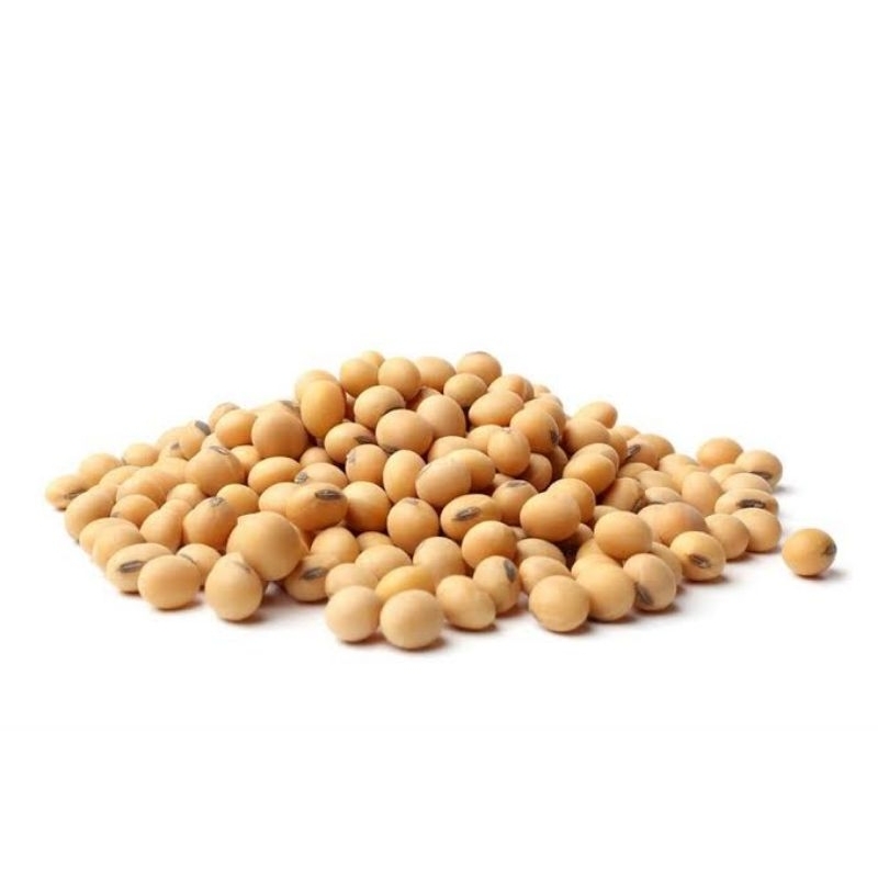 Soja em grãos 1kg | Shopee Brasil