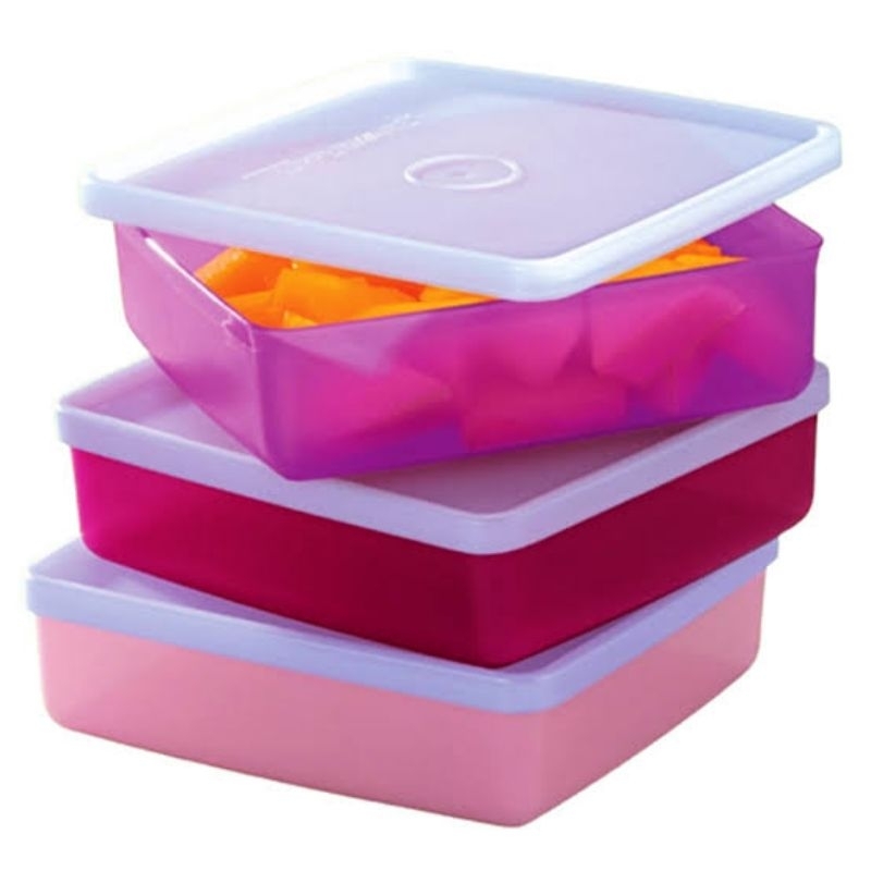REFRI BOX TUPPERWARE | Shopee Brasil