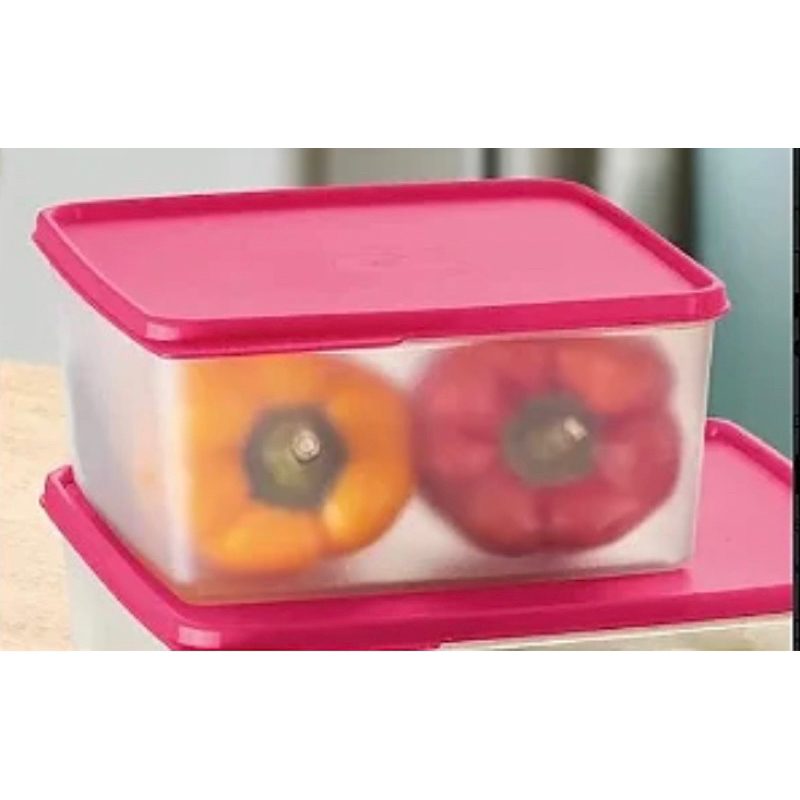 Tupperware Basic line 2,5 litros | Shopee Brasil
