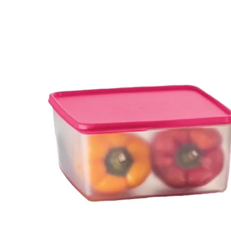 Basic line Tupperware 2,5l | Shopee Brasil