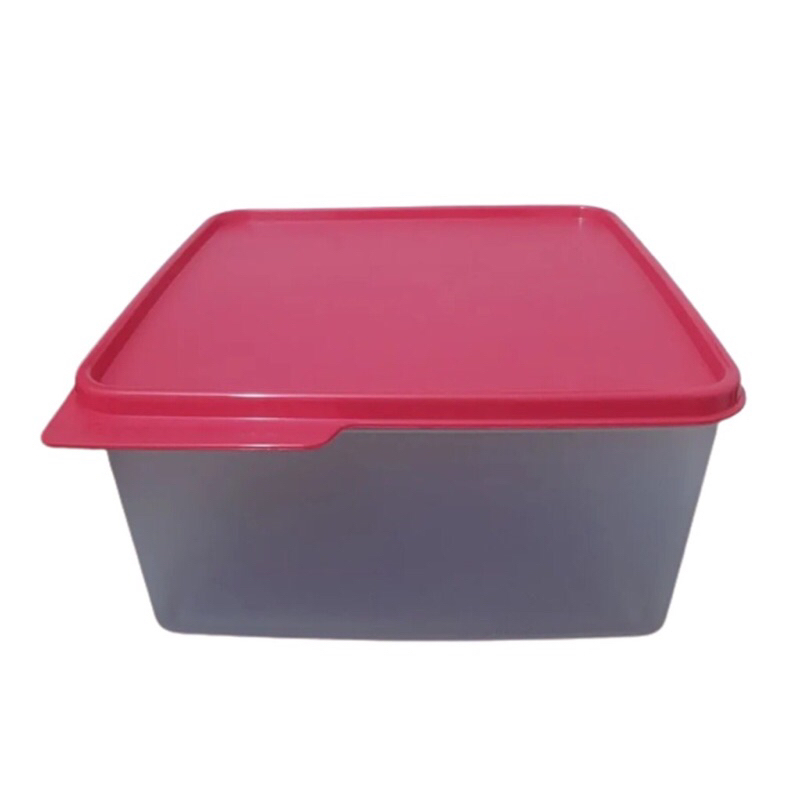 Basic Line 5L TUPPERWARE | Shopee Brasil