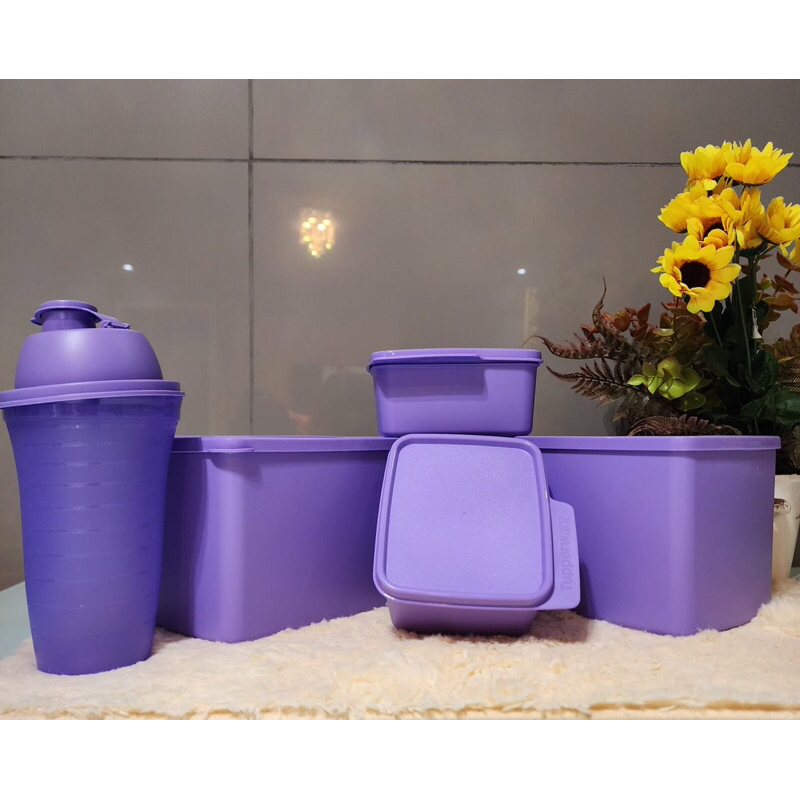 Kit Tupper | Shopee Brasil