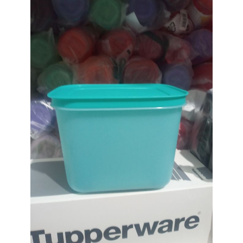Freezer Line 1,1L Tupperware Original | Shopee Brasil