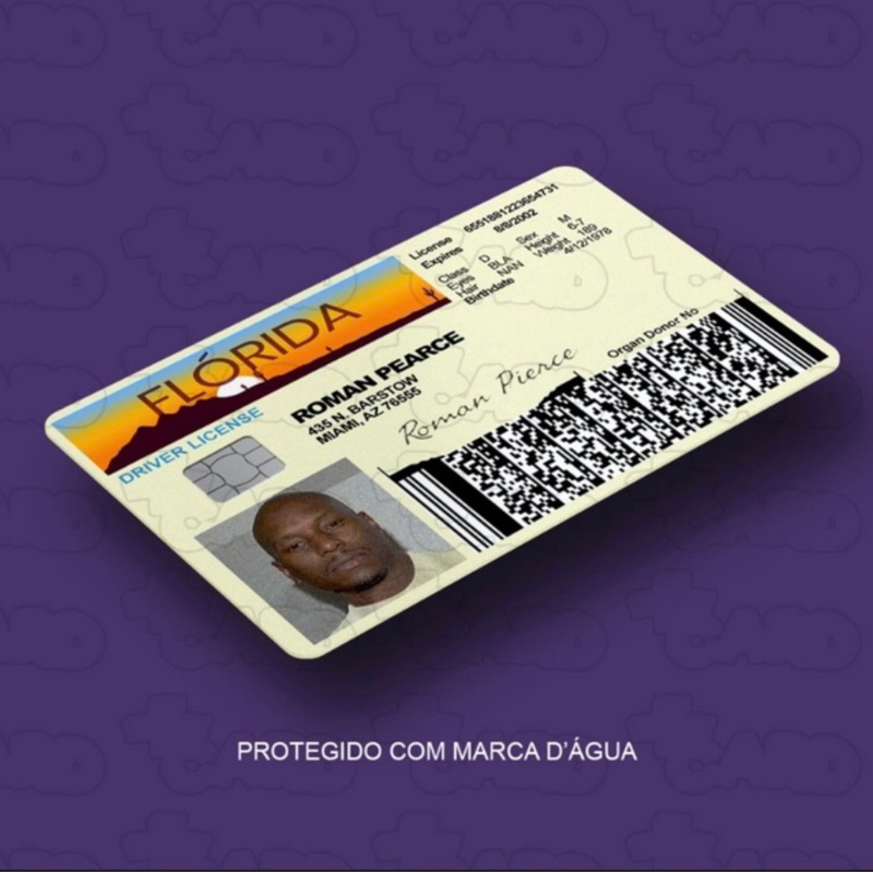 Carteira de Motorista Roman Pierce Velozes e Furiosos | Shopee Brasil