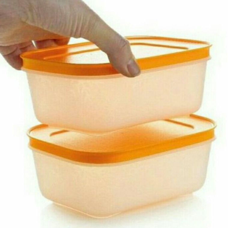 Kit (2 peças) Freezer Line 450ml - Tupperware | Shopee Brasil