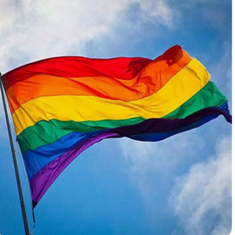 Bandeira Arco-íris LGBT Orgulho Gay Homossexual | Shopee Brasil