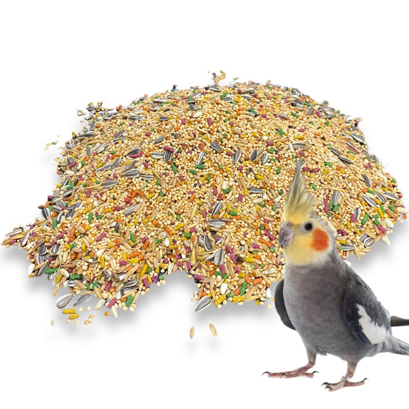 Mistura de Sementes Calopsita Periquito e Agapornis a granel 5kg ...