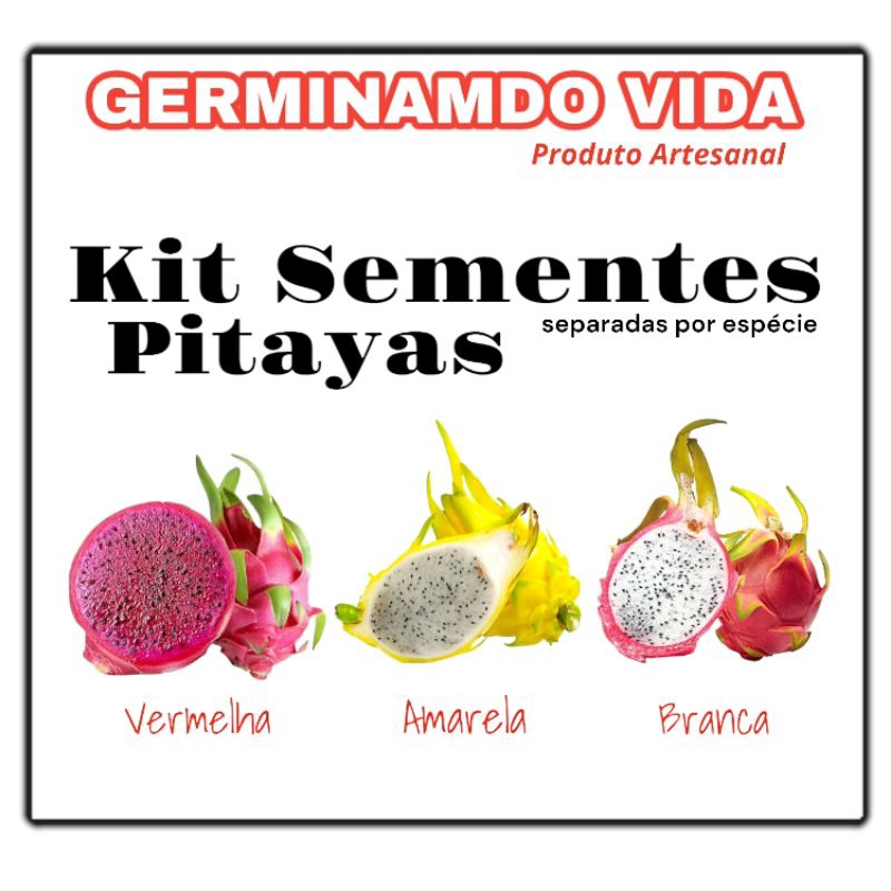 kit Sementes Pitayas Para Plantio - Vermelha + Amarela + Branca ...
