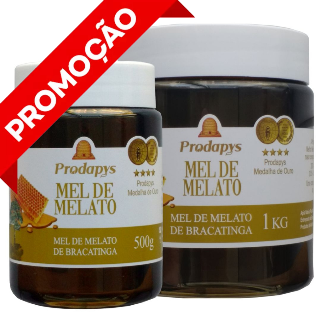 Mel Melato de Bracatinga 500g + Pote com 1Kg Super Promoção | Shopee Brasil