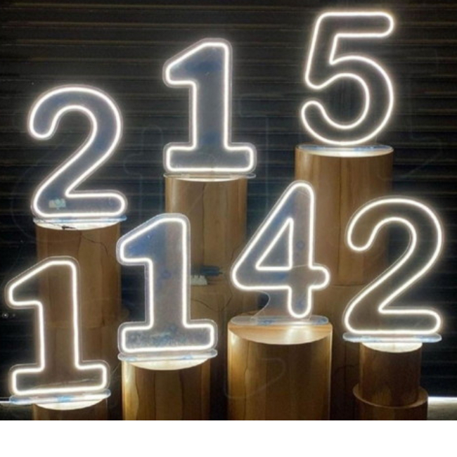 Placa Número LED em Acrílico Todos os Números de 0 ao 9 Altura Disponível 20cm 30cm 40cm 50cm ...