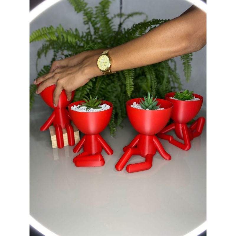 Kit Vasos para plantas e suculentas Robert Plant Vasinhos bob para ...