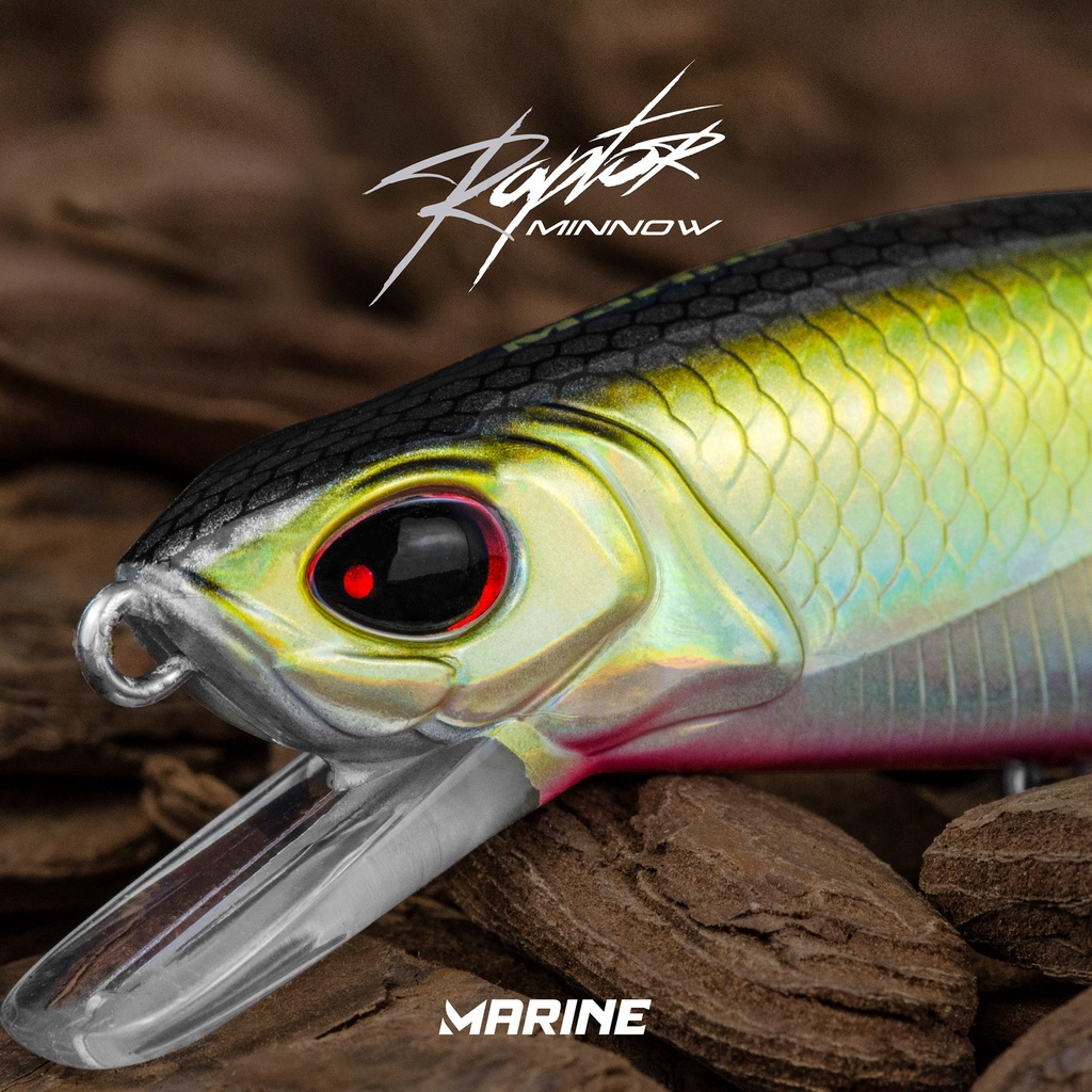 Isca Artificial Raptor Minnow 70, Para Pesca, Marine Sports | Shopee Brasil