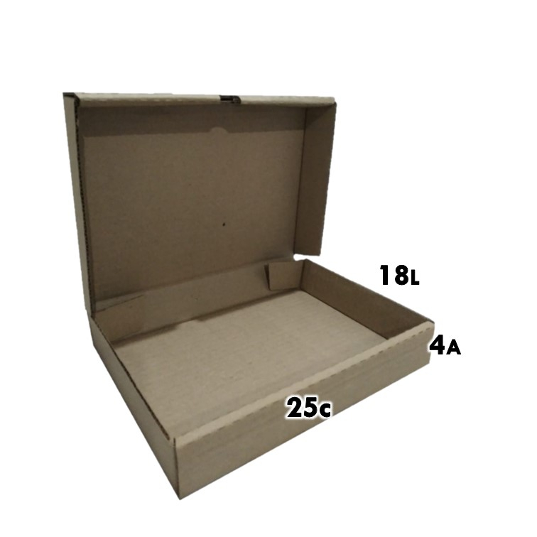 10 Caixas de papelão 25x18x4 correios, sedex, pac, transportadoras ...