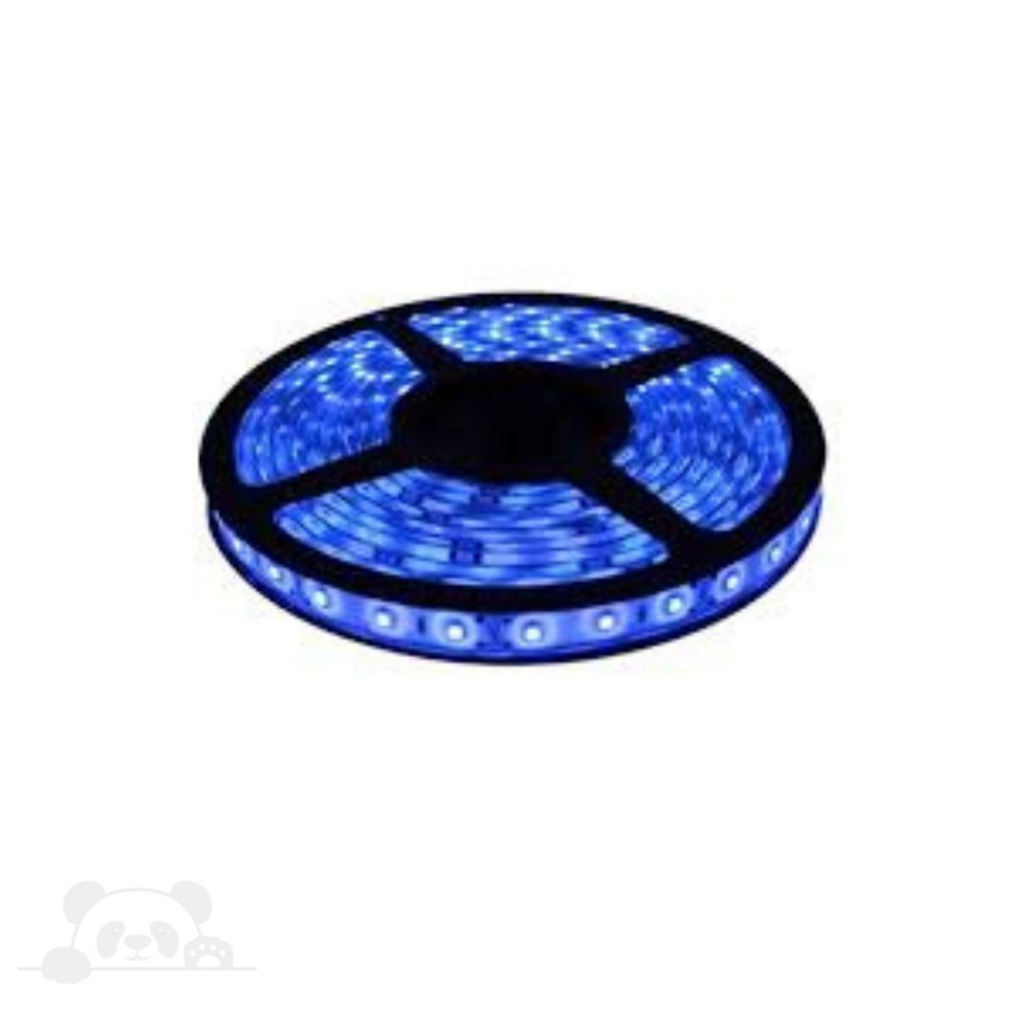 Fita LED 5 Metros Modelo 3528 Adesiva Azul Para decoração de interiores ...