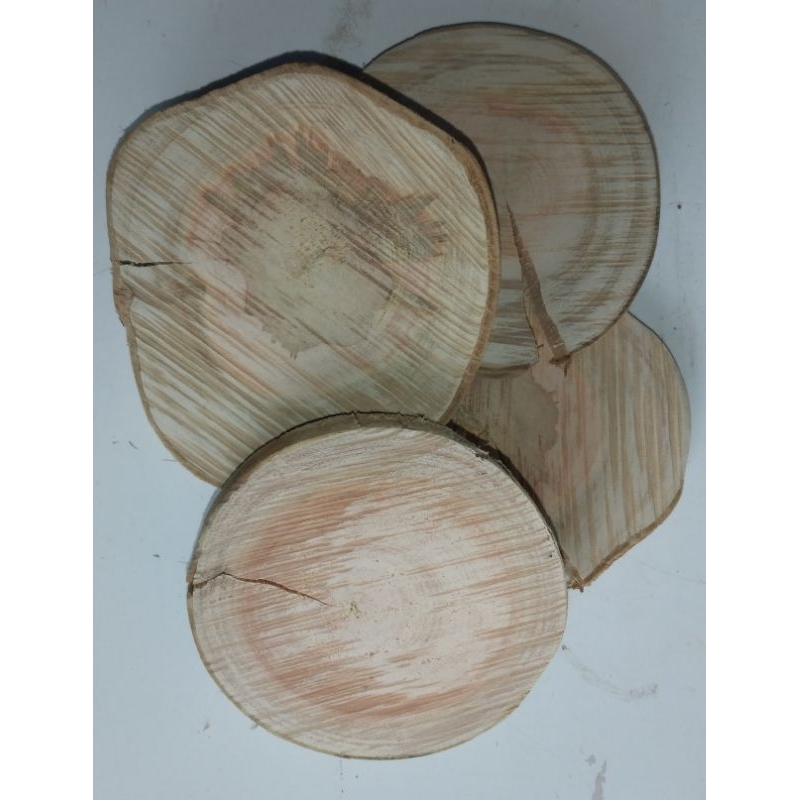 Lote de 8 bolacha de madeira natural rústica rachada com 11 cm de ...