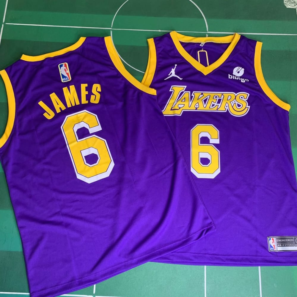 Camisa NBA Regata Los Angeles Lakers Roxa #6 de Alta Qualidade 23-24 ...