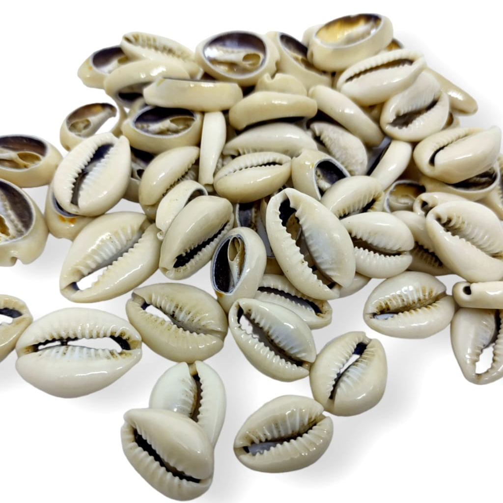 Buzios Branco Natural Aberto Umbanda E Candomblé Unidade | Shopee Brasil