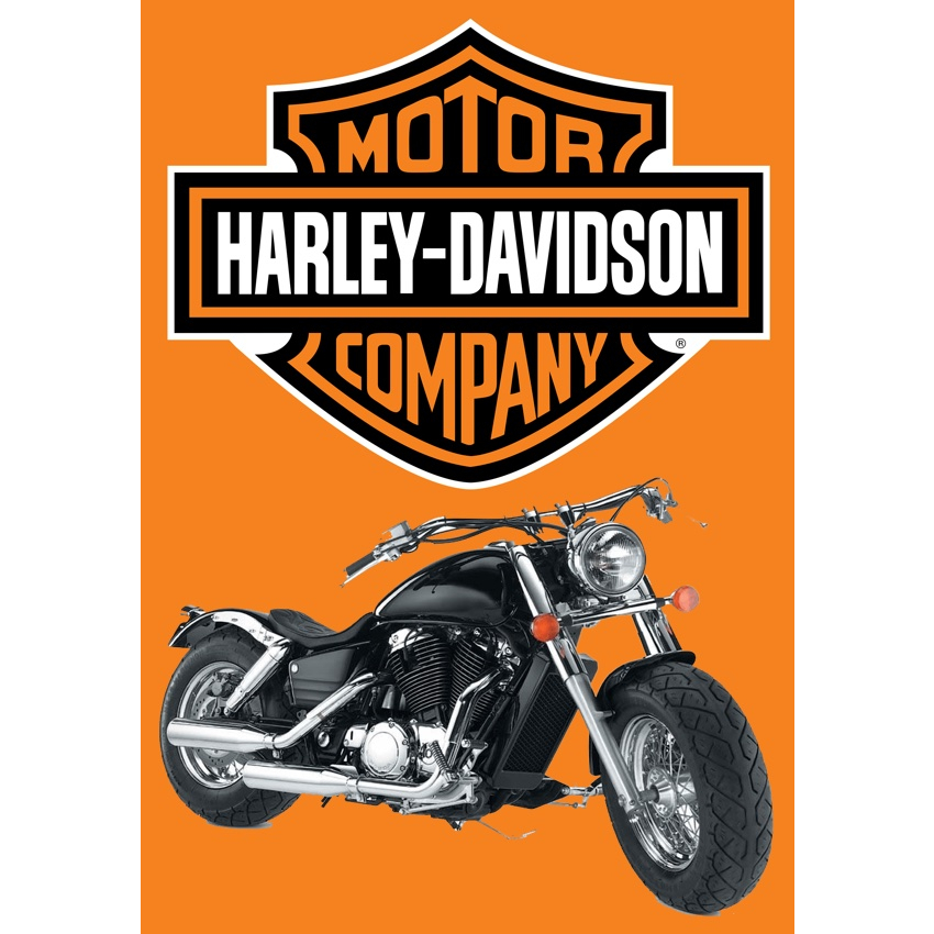 Quadro moto Harley davidson motoqueiro motociclista rock | Shopee Brasil
