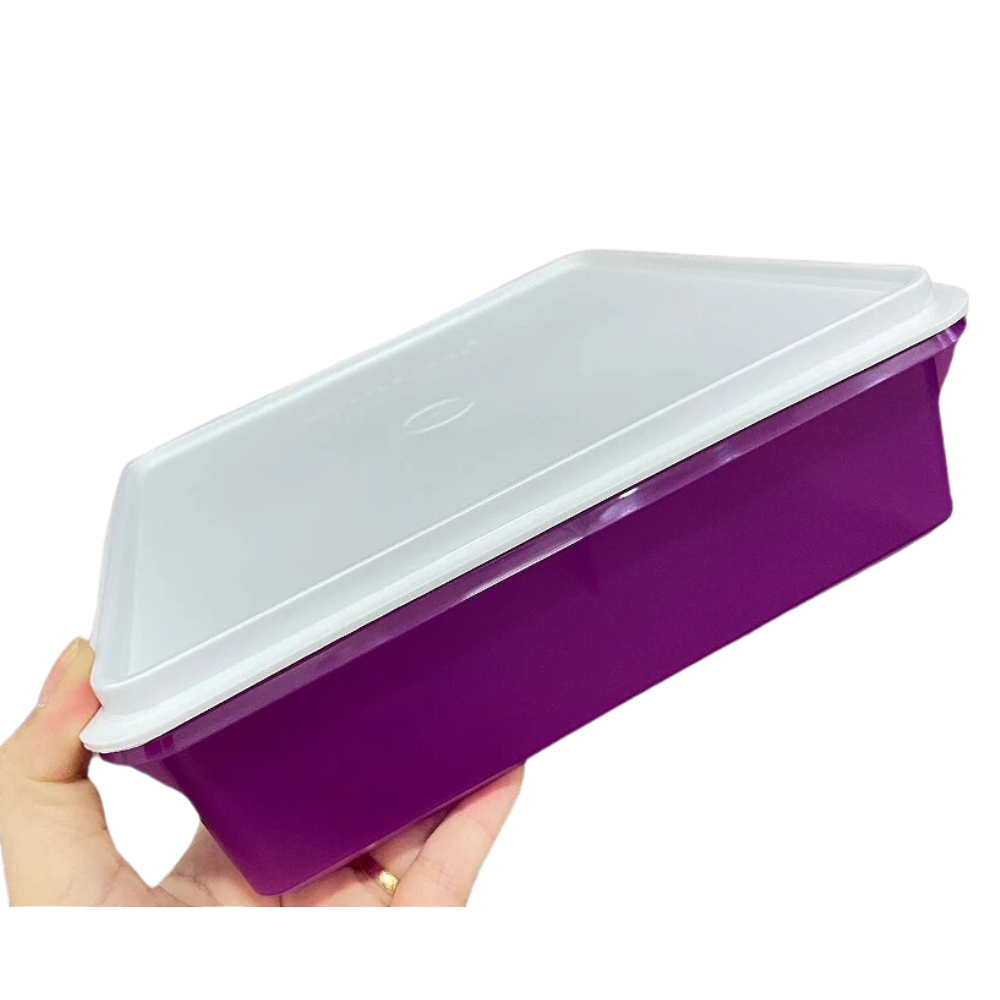 Caixa Versátil 2,5l Tupperware | Shopee Brasil