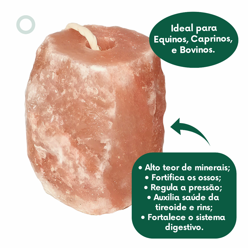 BLOCO DE SAL ROSA DO HIMALAIA (3KG) | Shopee Brasil