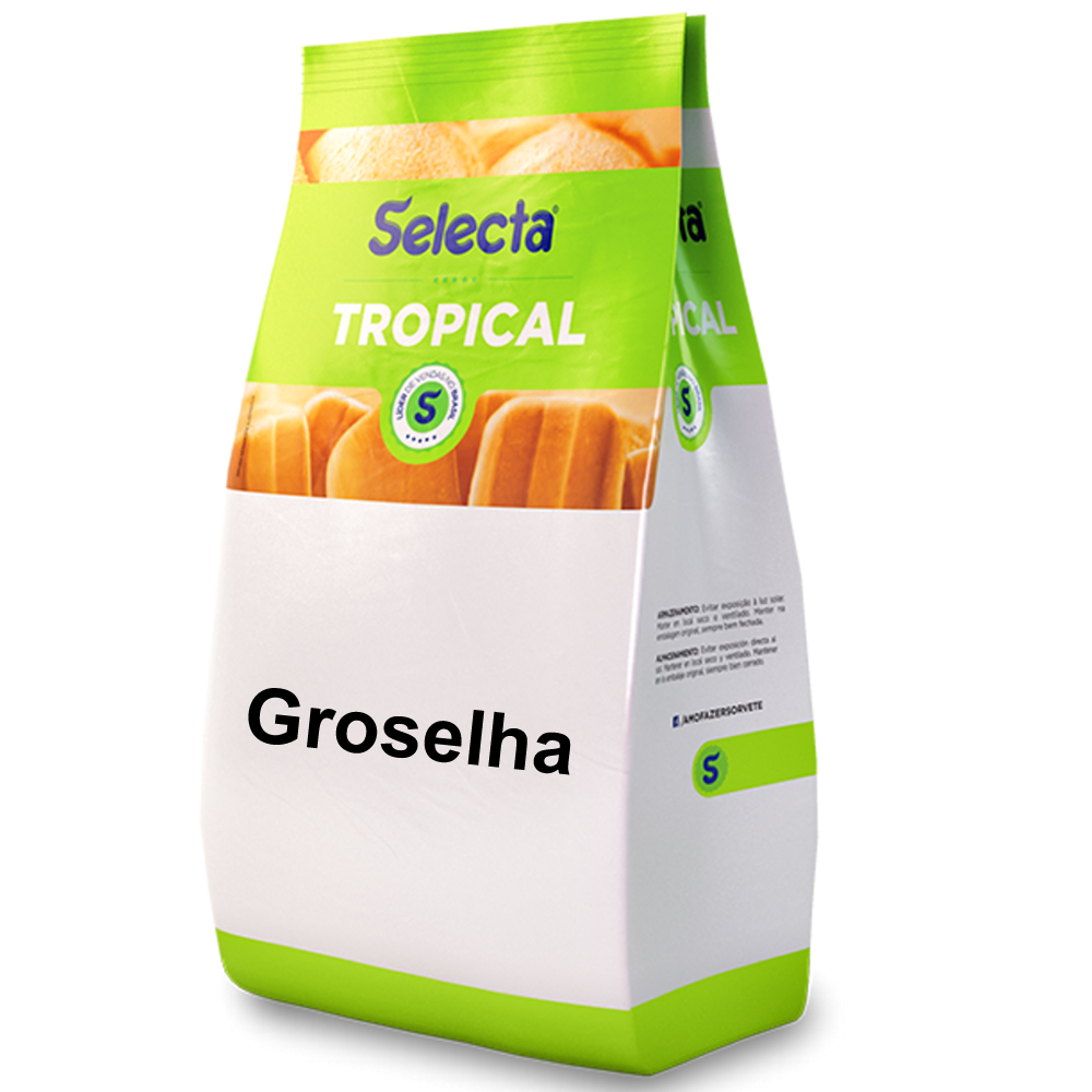 Base Saborizante de Sorvete Selecta Tropical Groselha 1kg | Shopee Brasil