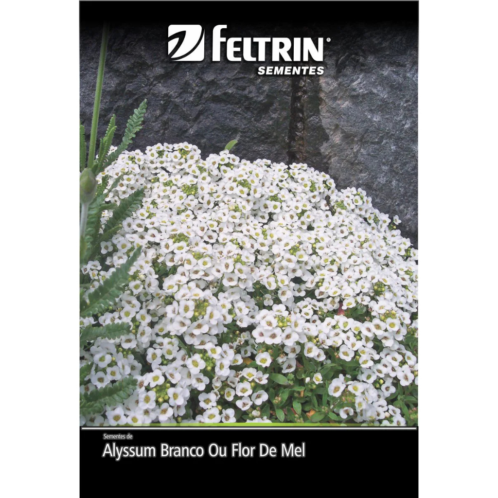 Kit 10 Sementes de flores flor variadas Feltrin | Shopee Brasil