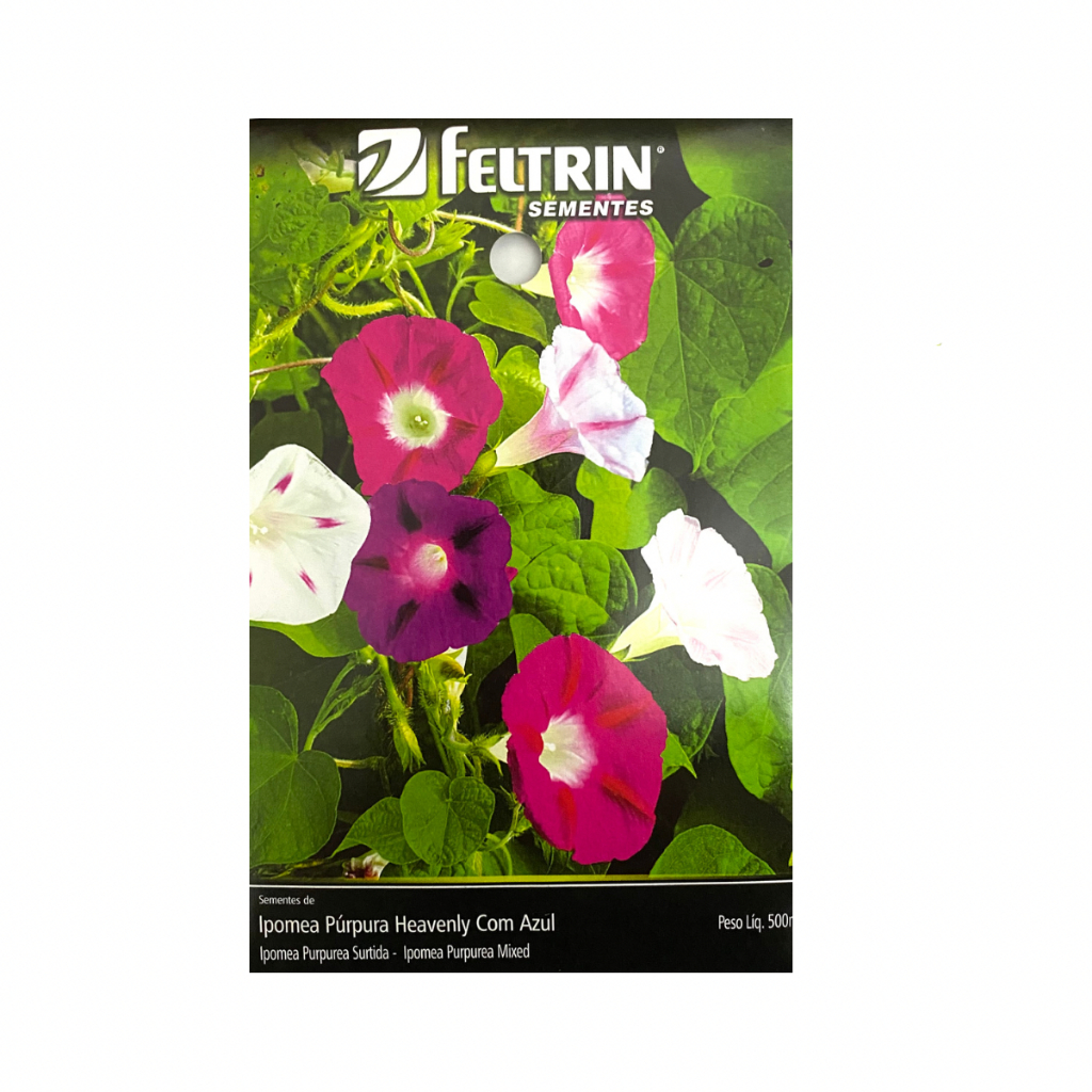 Sementes de Ipomea Purpura Heavelyn Com Azul Env c/ 500mg de Sementes ...