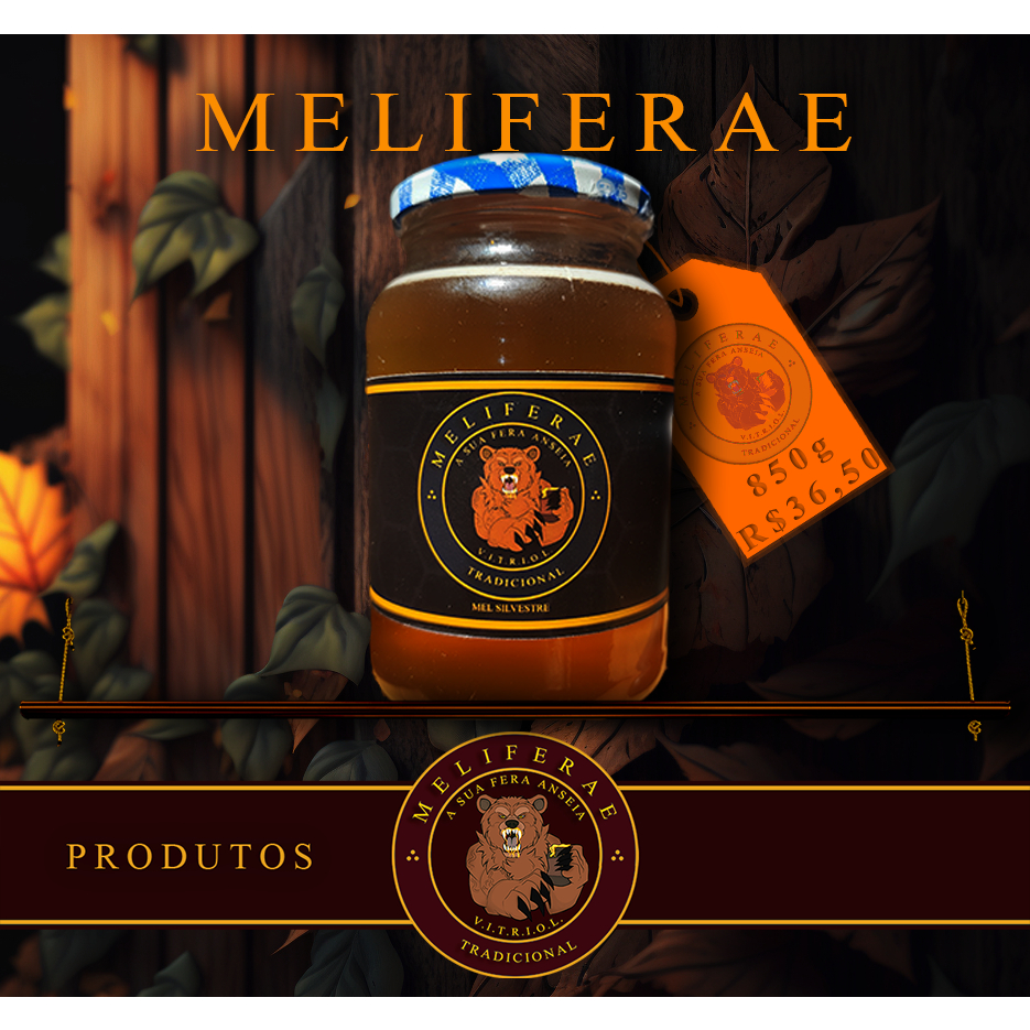 Mel de Apis Melifera 850g - Florada Silvestre Pura | Shopee Brasil