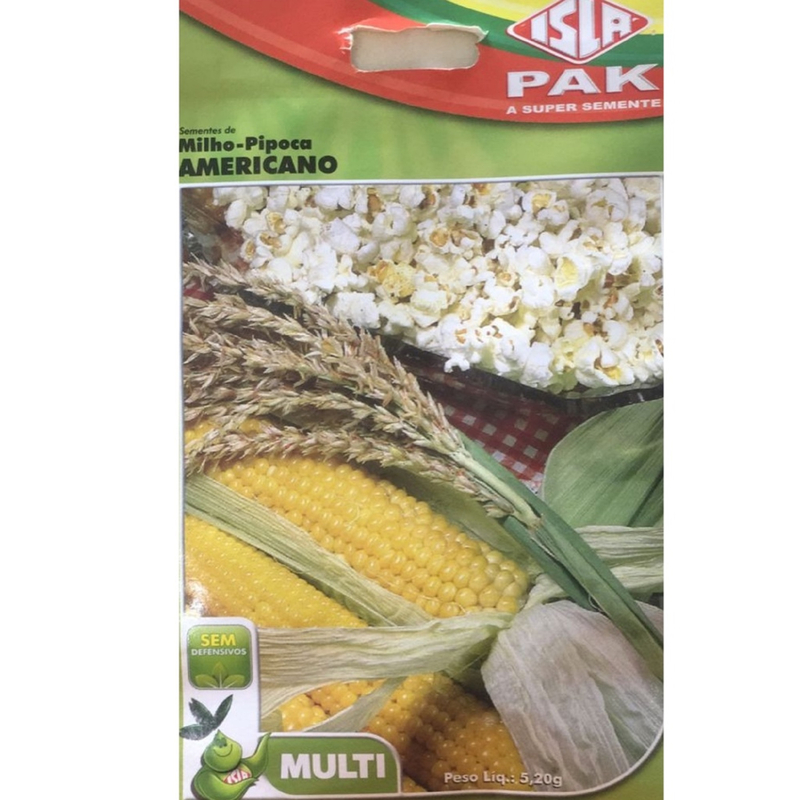 Sementes de Milho Pipoca Americano (Multi) - Isla | Shopee Brasil