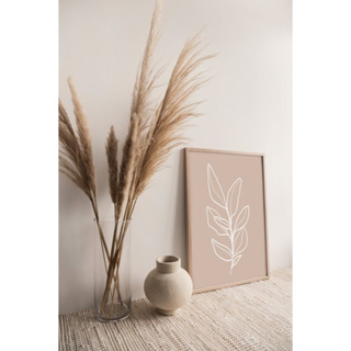 Kit C/ 5 Capim Dos Pampas De Luxo Fino Natural Boho Chic Pinterest ...