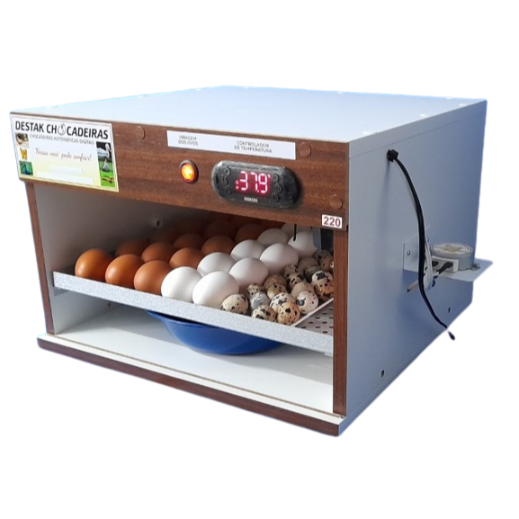 Chocadeira 48 ovos de Galinha ou 100 ovos de Codorna Toda Automática ...