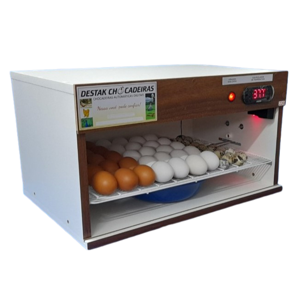 Chocadeira 54 ovos de Galinha ou 120 ovos de Codorna toda Automática ...