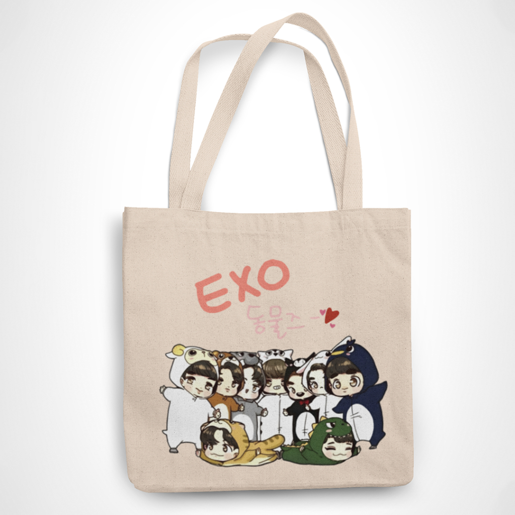 Bolsa Sacola Ecobag Exo Grupo Kpop Cute Fofo | Shopee Brasil