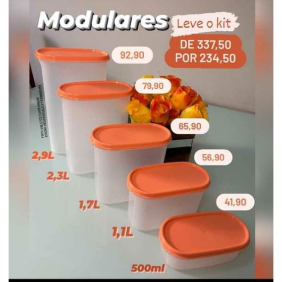 Tupperware Kit modular oval | Shopee Brasil