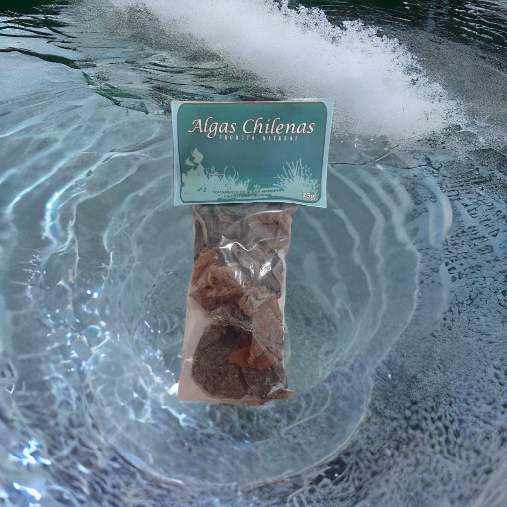 ALGAS MARINHAS CHILENAS PARA ALGOTERAPIA - 25g | Shopee Brasil