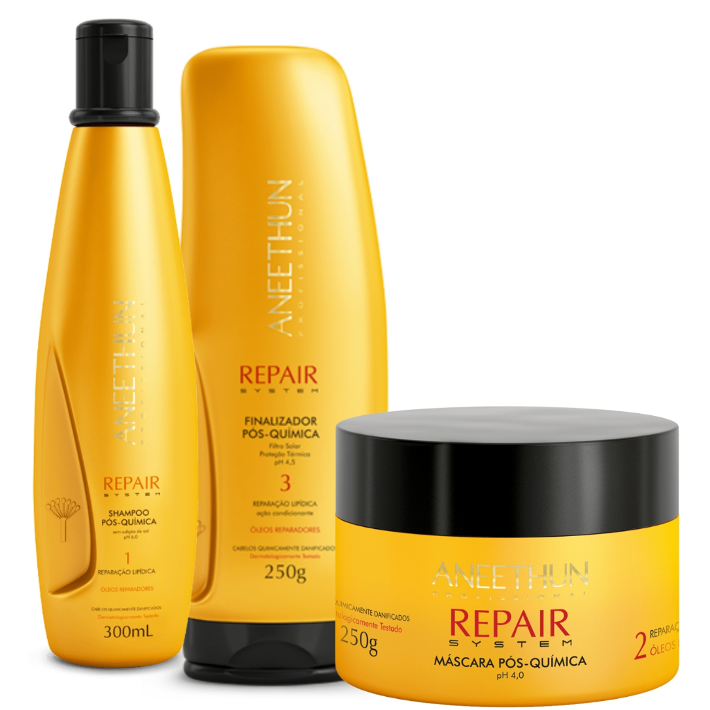 Kit Pos Quimica Repair Aneethun Shampoo 300ml Mascara 250g Finalizador ...
