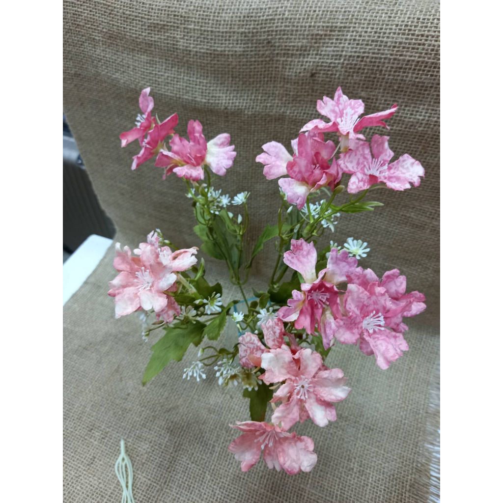 suque de margarida | Shopee Brasil