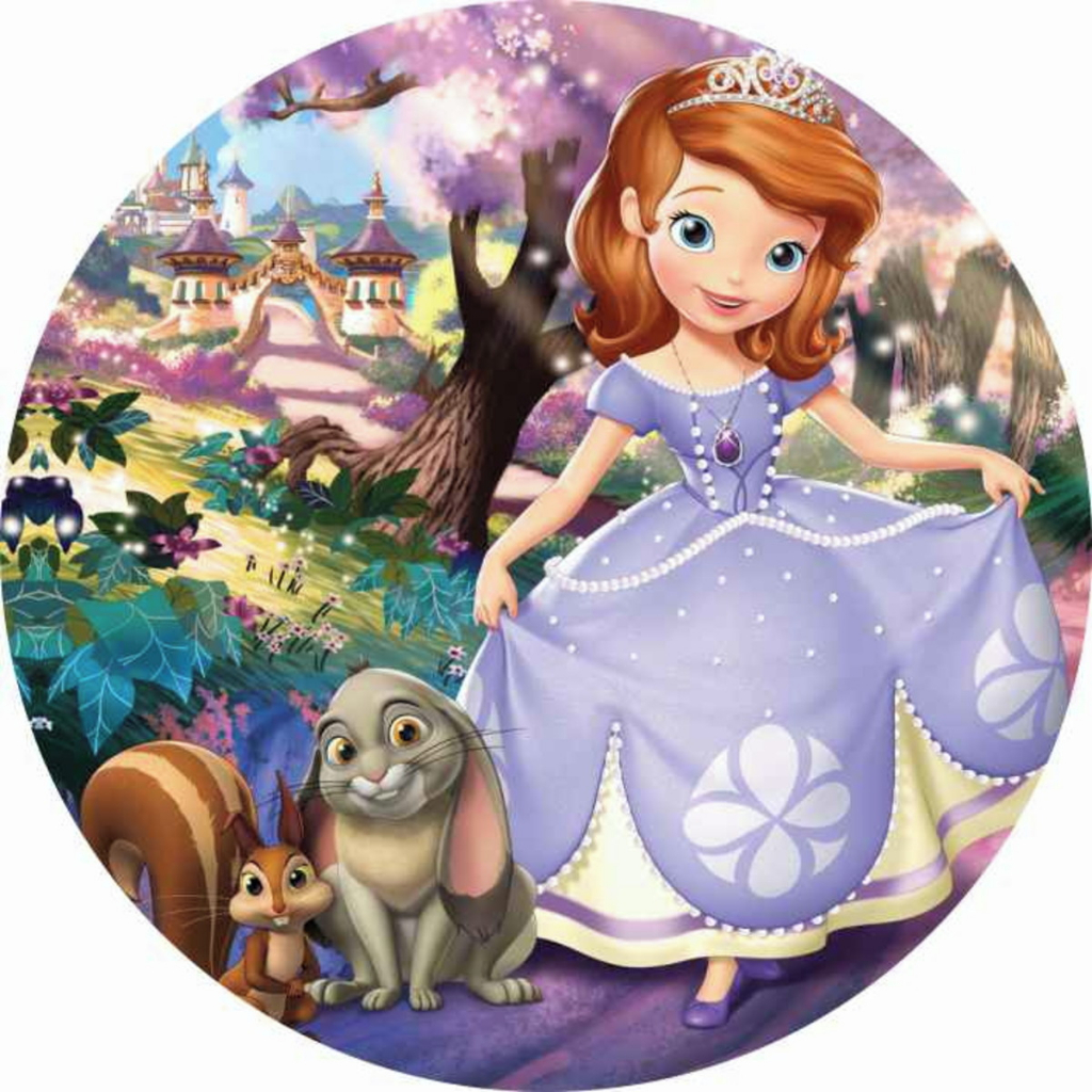 PAINEL REDONDO PRINCESA SOFIA 1,50X1,50MT CAPA | Shopee Brasil