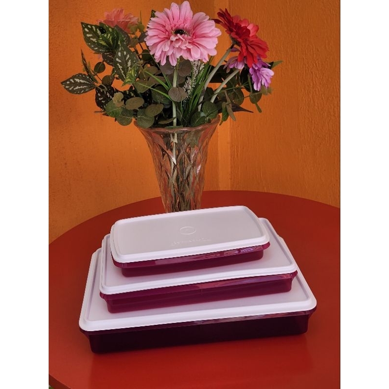 refri box | Shopee Brasil