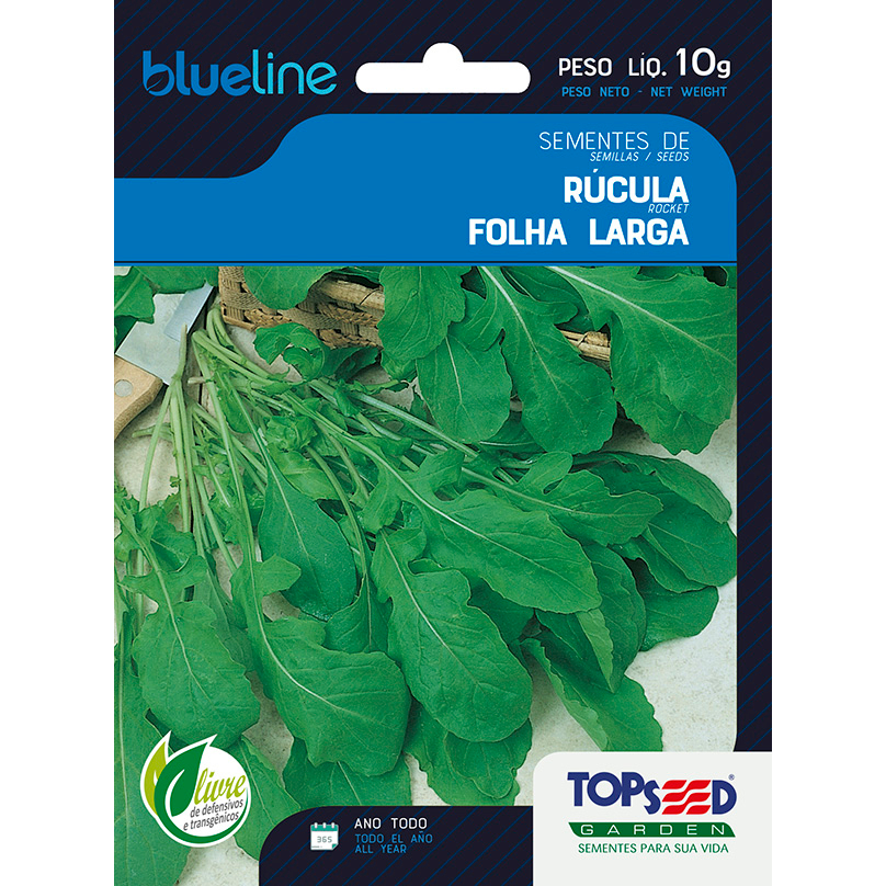 Sementes de Rucula Folha Larga 10 Gramas Saladas Temperos Horta ...