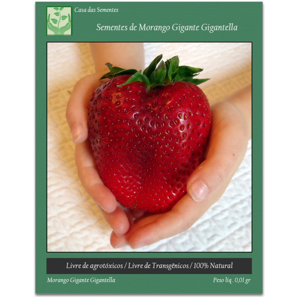 Sementes De Morango Gigante Gigantella Legítima | Shopee Brasil