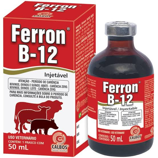 kit 5 Ferron B12 50 Ml Tratamento De Anemias Deficiencia De Ferro ...