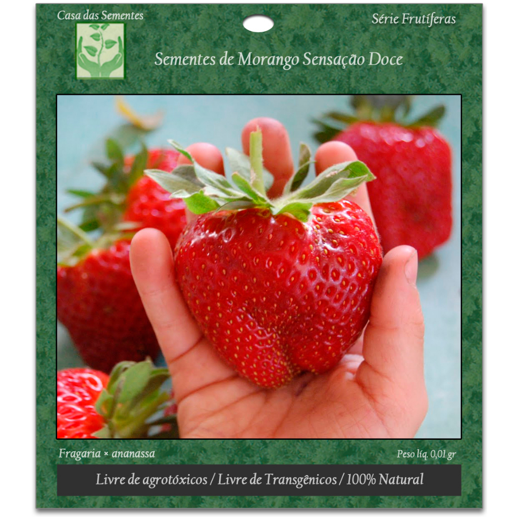 Sementes De Morango Sensação Doce para plantio de Mudas | Shopee Brasil