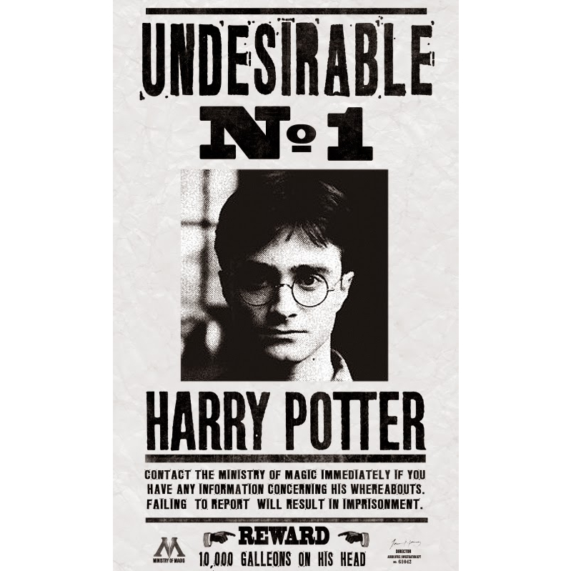 Harry Potter Undesirable Poster A4 Preto & Branco Em Papel De Foto ...