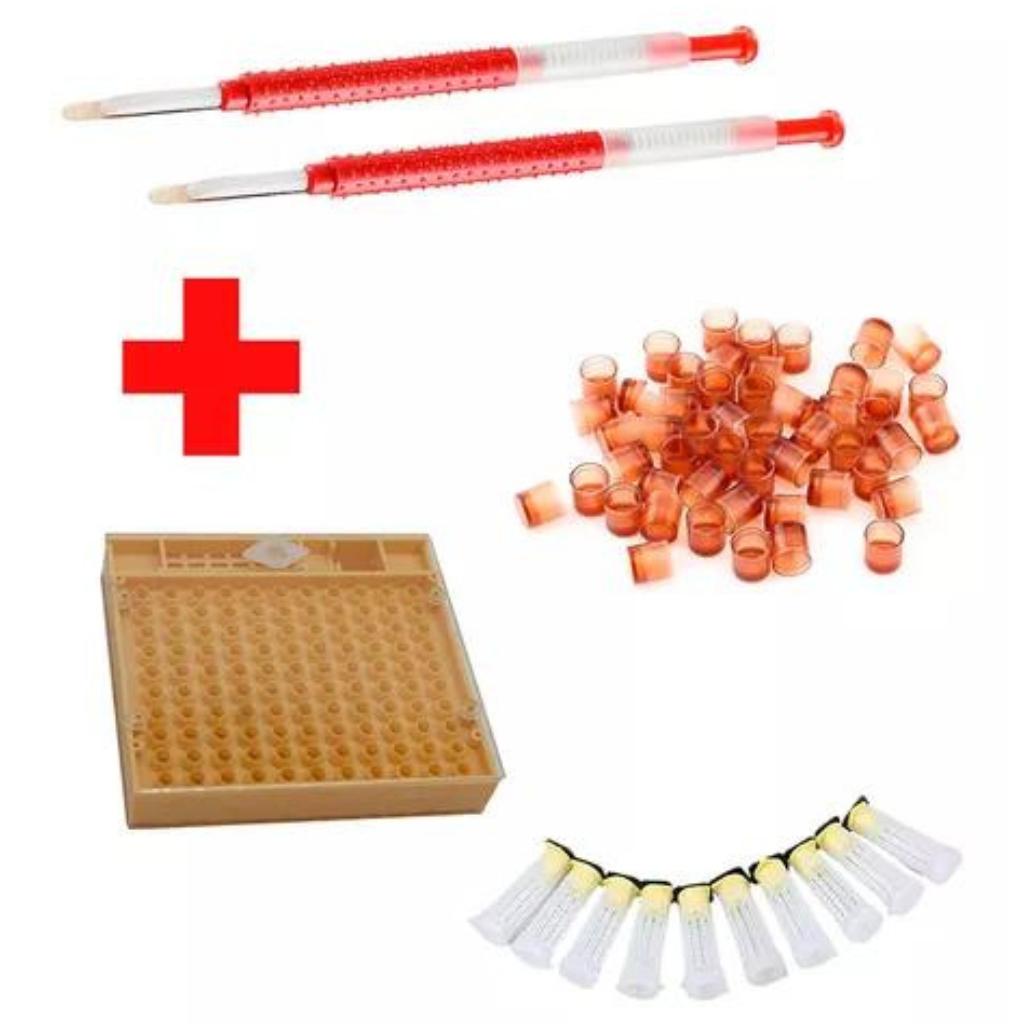 Kit Nicot Jogo De 4 Peças Produção De Abelha Rainha | Shopee Brasil