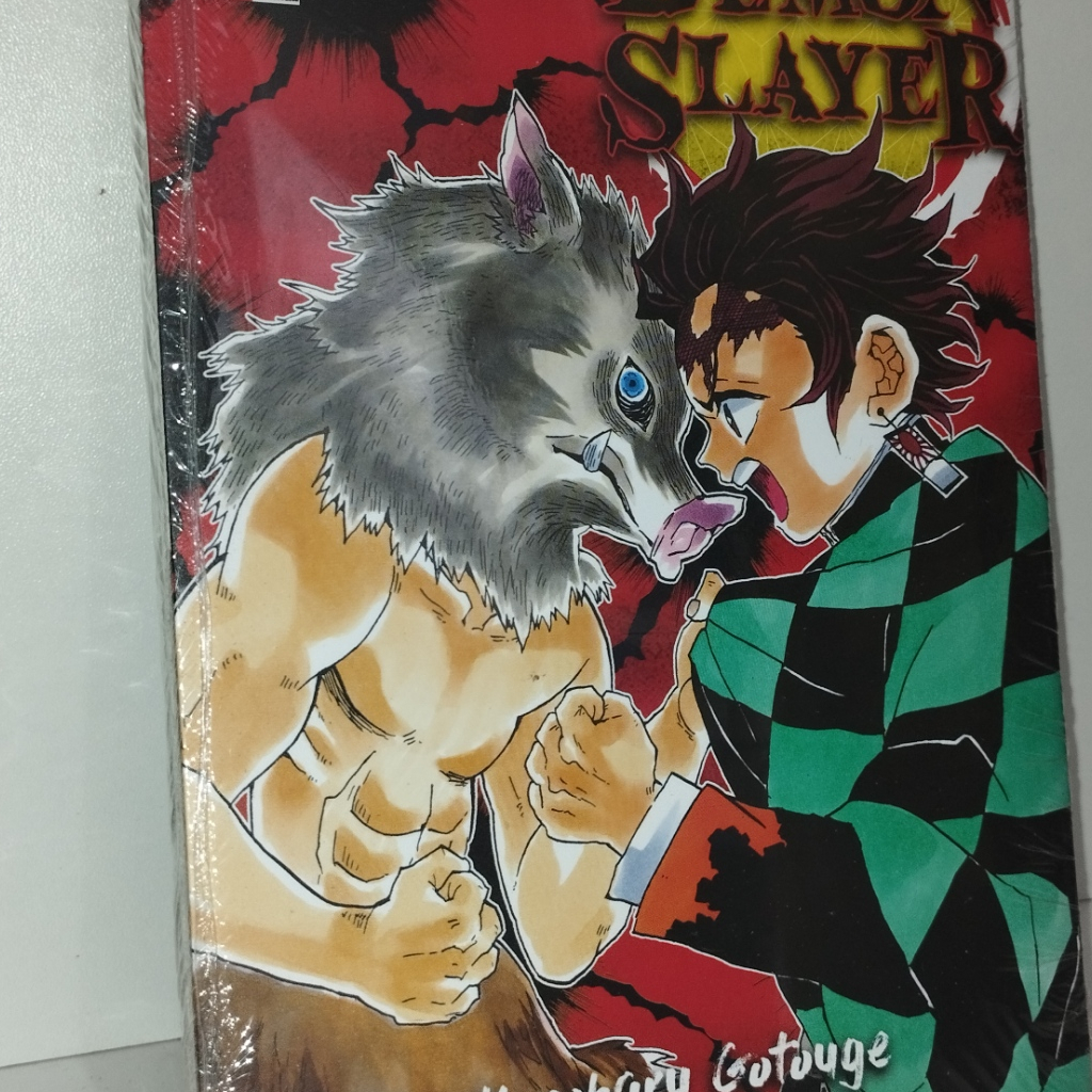 Livro Demon Slayer - Kimetsu No Yaiba Vol. 4 | Shopee Brasil
