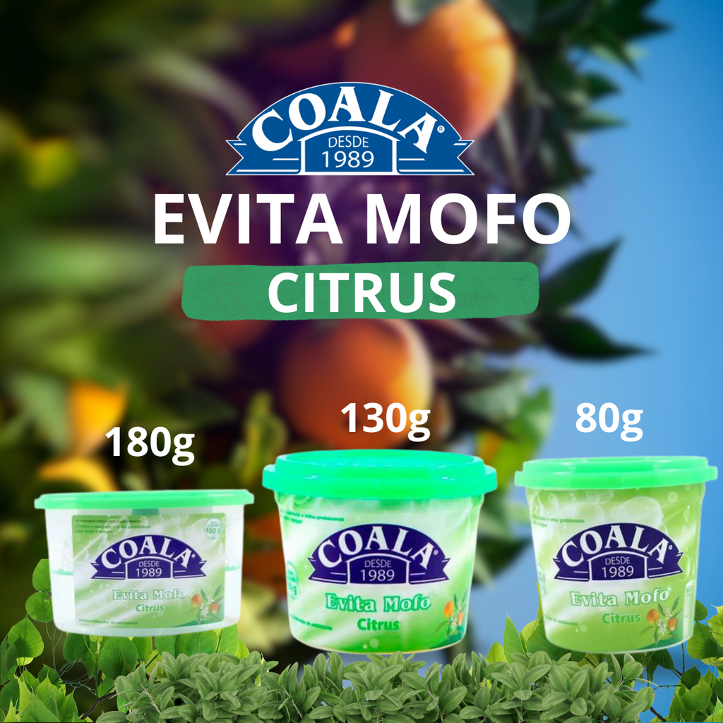 Coala Evita Mofo Citrus - Escolha o Tamanho | Shopee Brasil