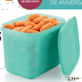 FREEZER LINE 1.1L VERDE - TUPPERWARE | Shopee Brasil